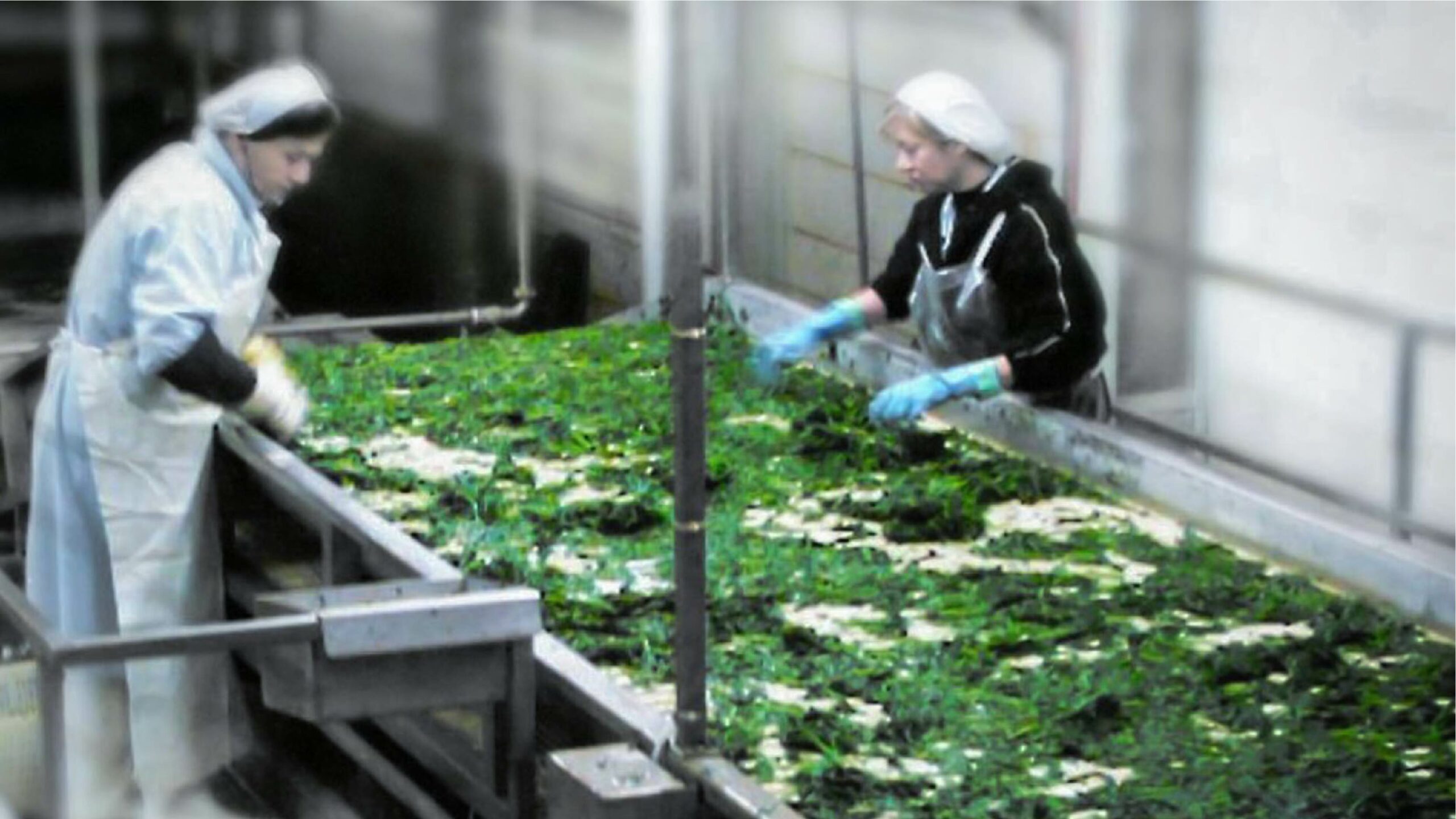 Cooling Systems - ATS Packaging & Food Technology