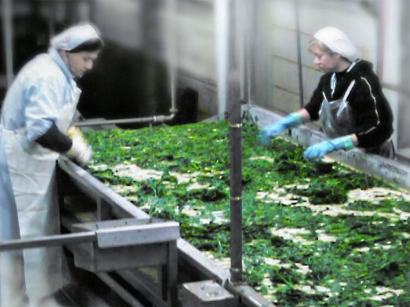 Cooling Systems - ATS Packaging & Food Technology